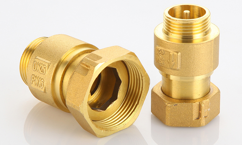 Brass Check Valve for Water Meter from Brass Valve Manufacturer China