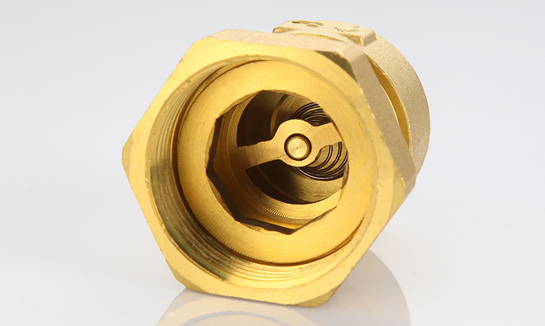 Brass Check Valve for Water Meter from Brass Valve Manufacturer China